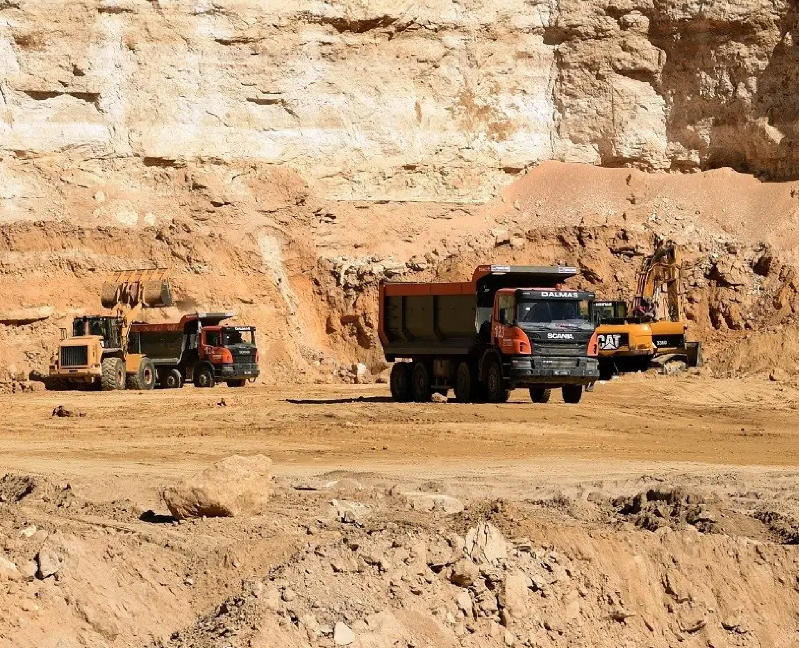 Homepage - trex.com.eg